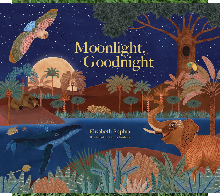 Rainbow Serpent Author: Dick Roughsey and Percy Trezise — Shop Sensory ...