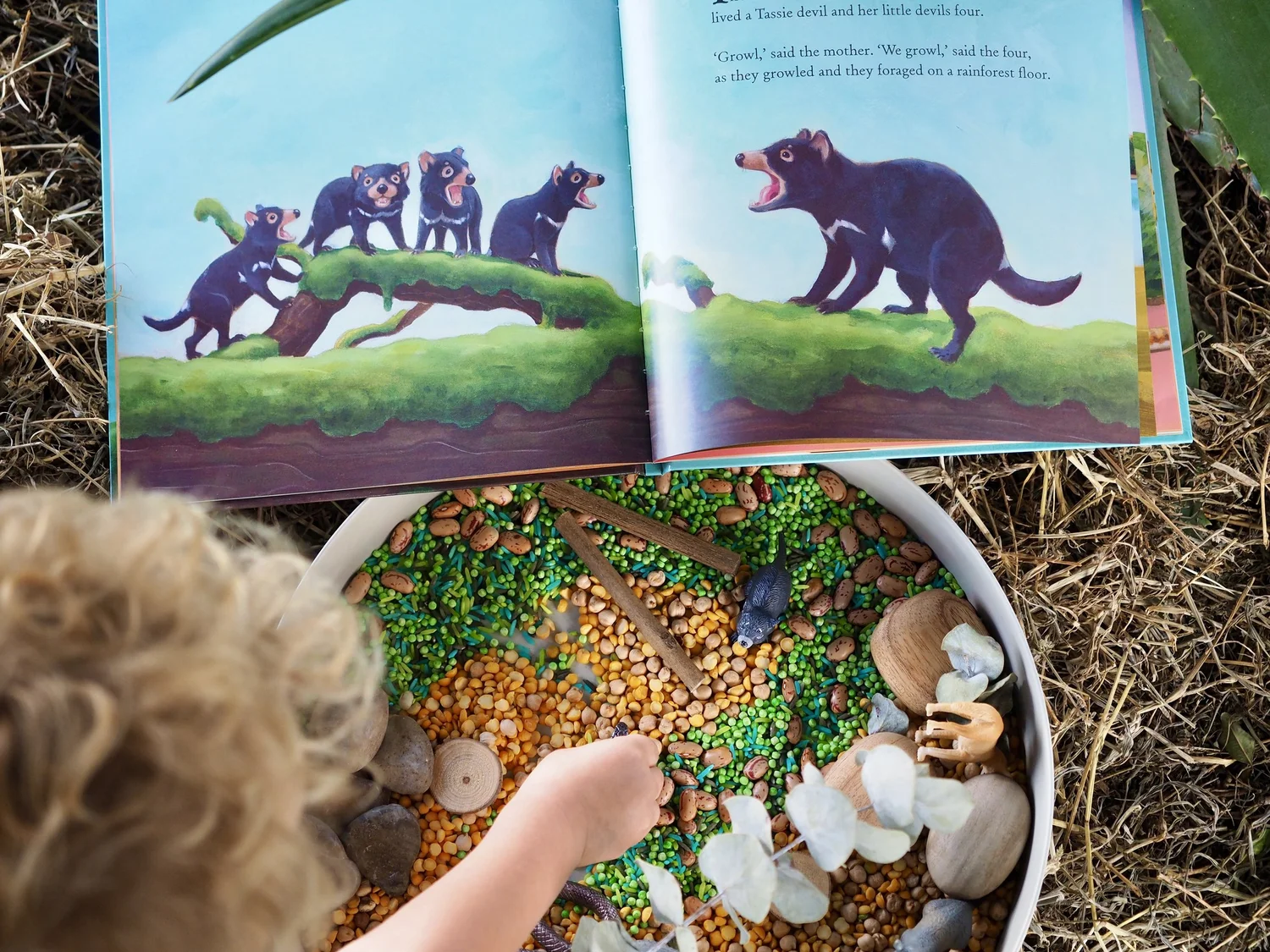 Rainbow Serpent Author: Dick Roughsey and Percy Trezise — Shop Sensory ...