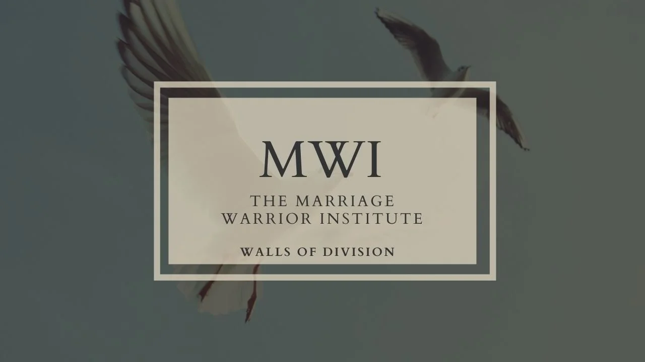 Video 25: Walls of Division — The Marriage Warrior Institute