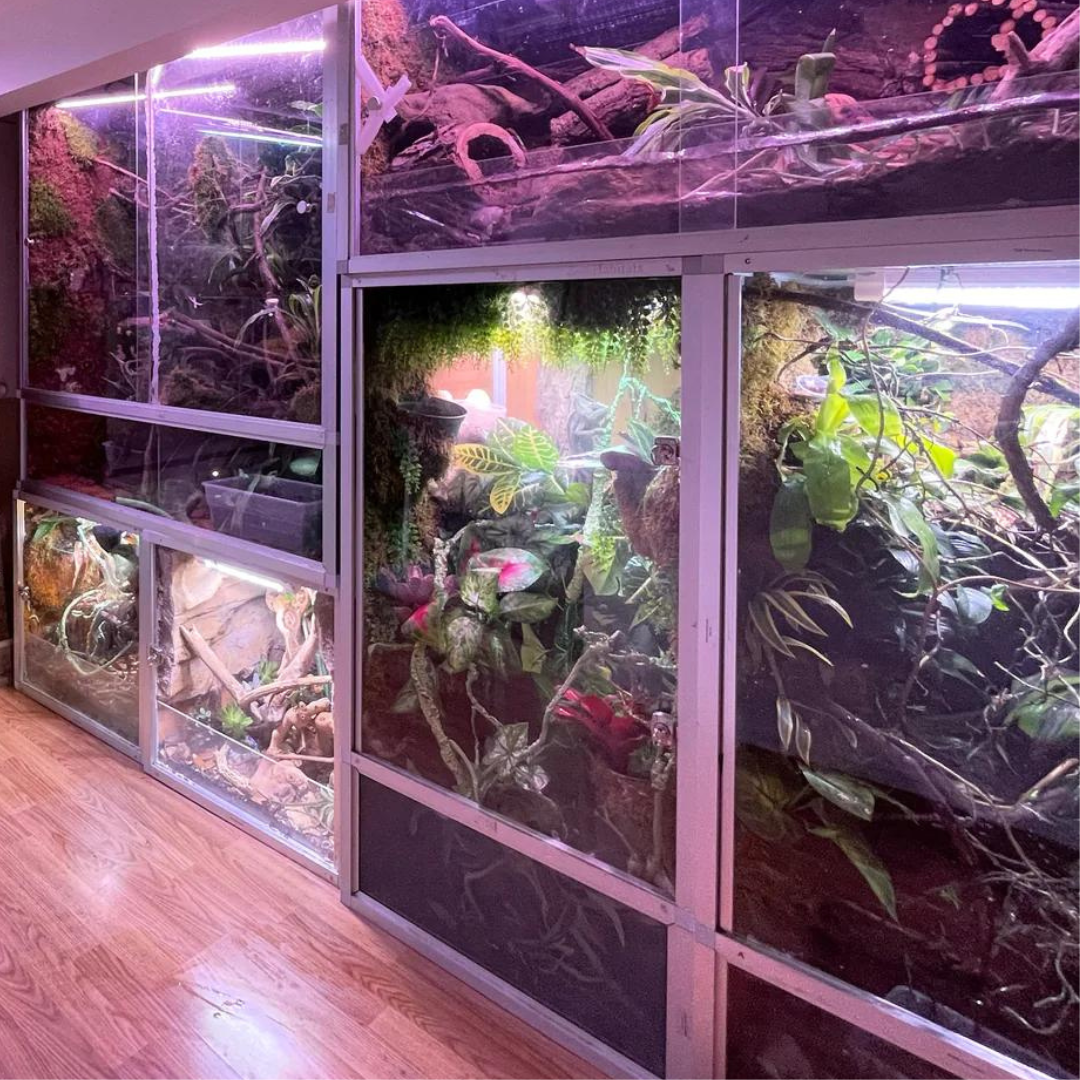 Give Differently — Reptile & Amphibian Center