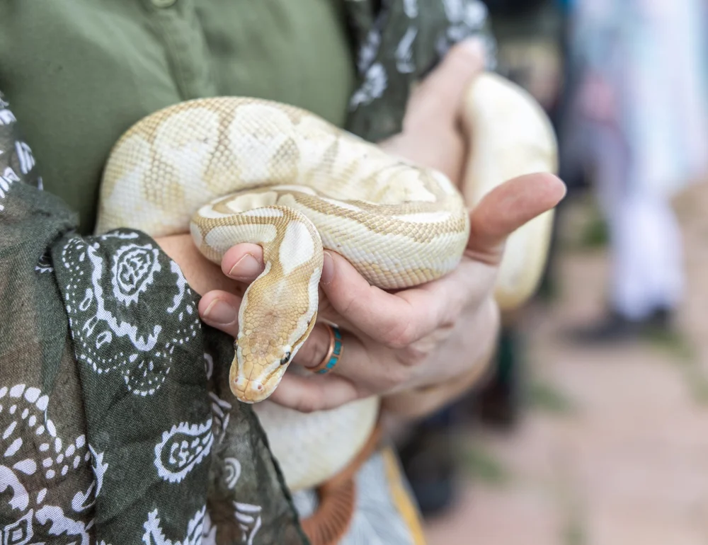 Reptile & Amphibian Center