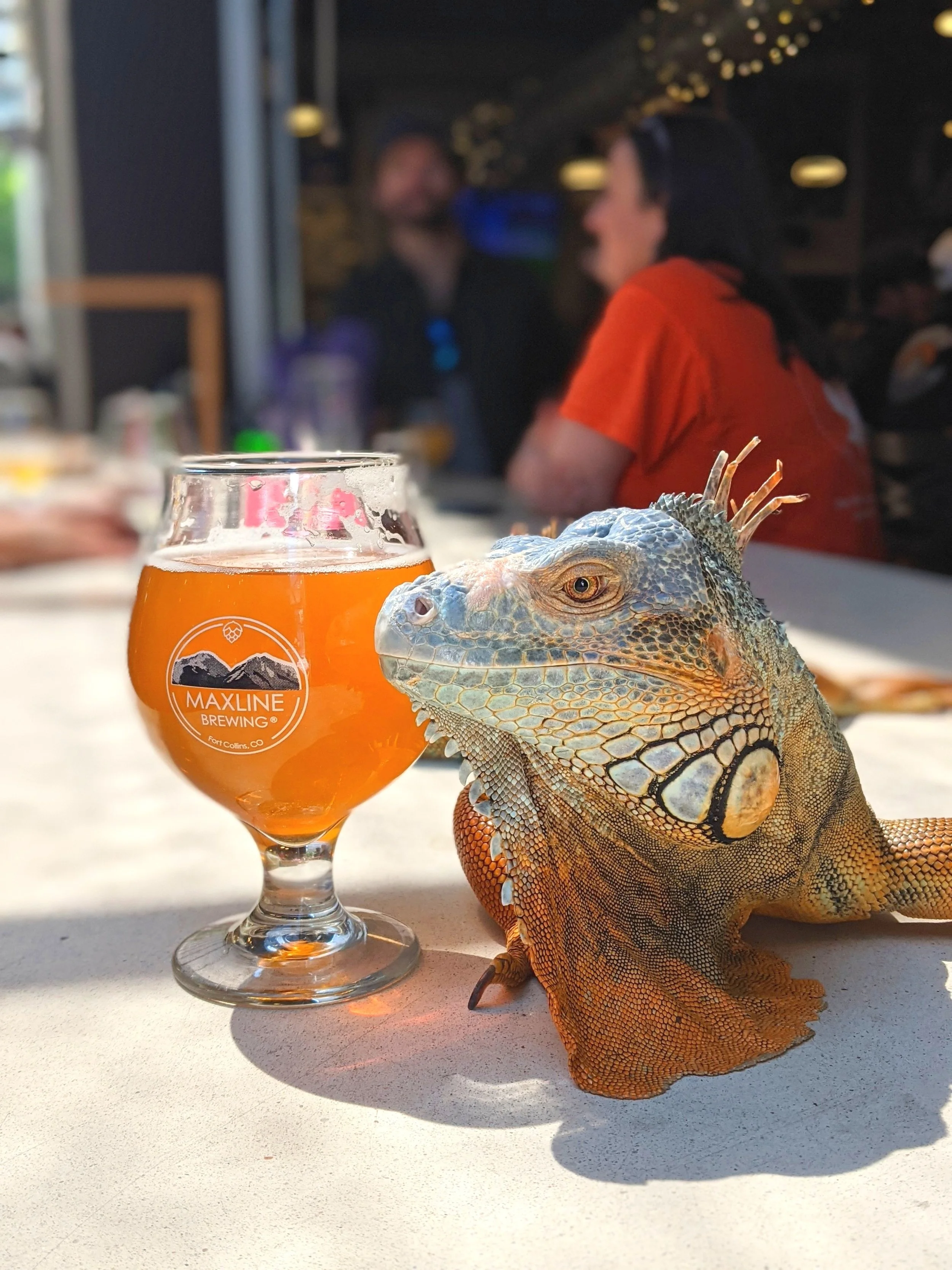 Drink Ales, Save Scales 2024 — Reptile & Amphibian Center