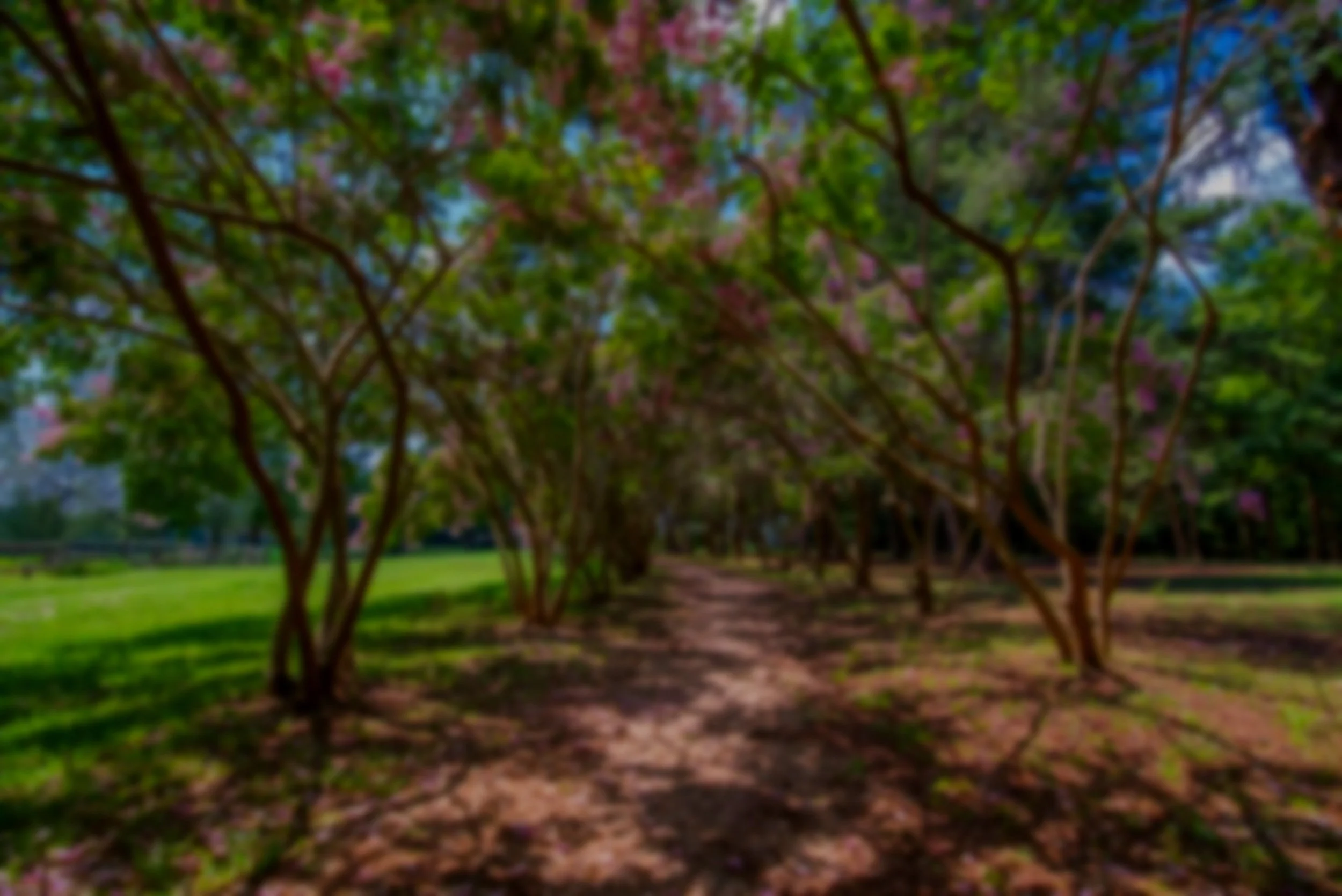 Walnut Grove Plantation — Spartanburg History