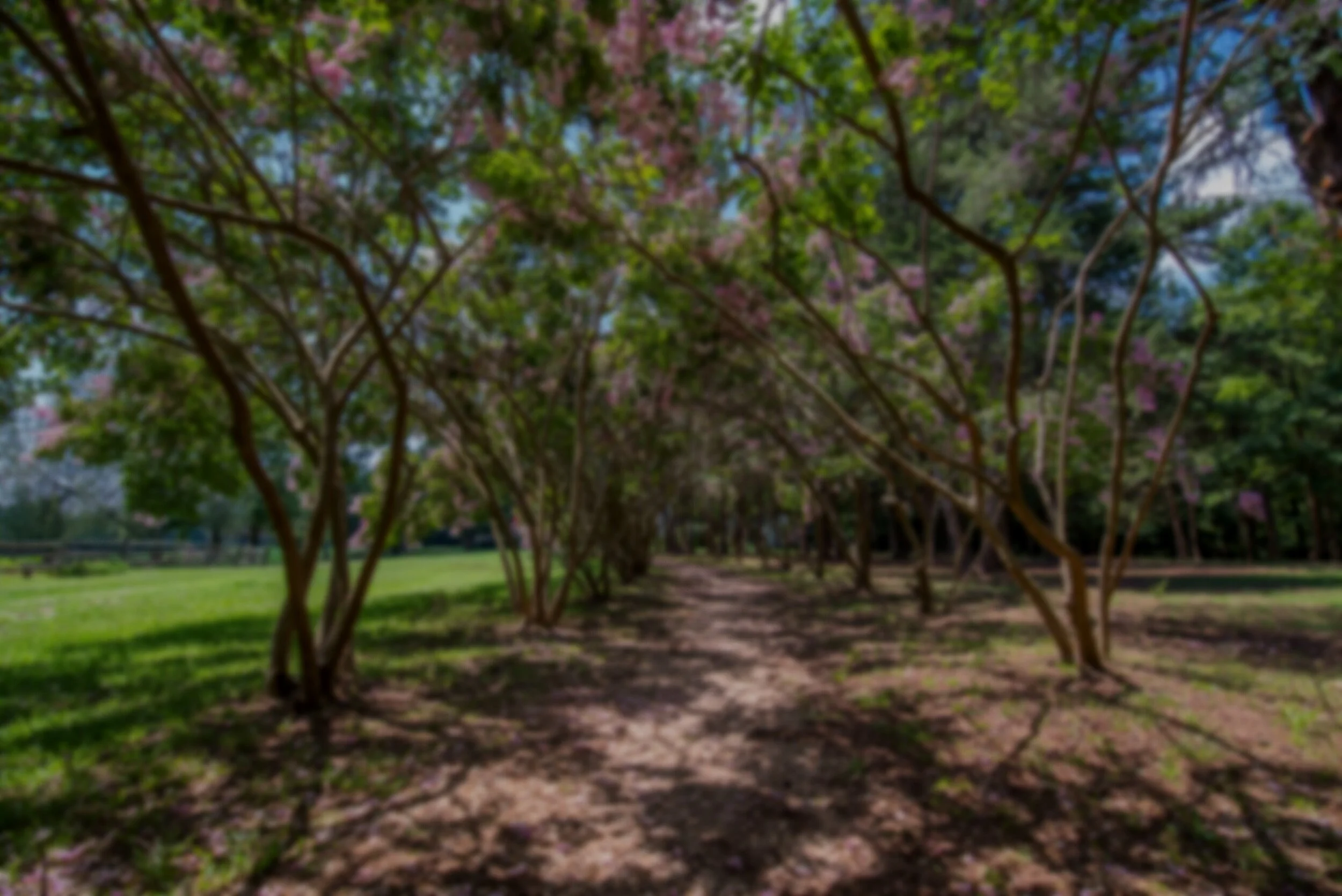 Walnut Grove Plantation — Spartanburg History