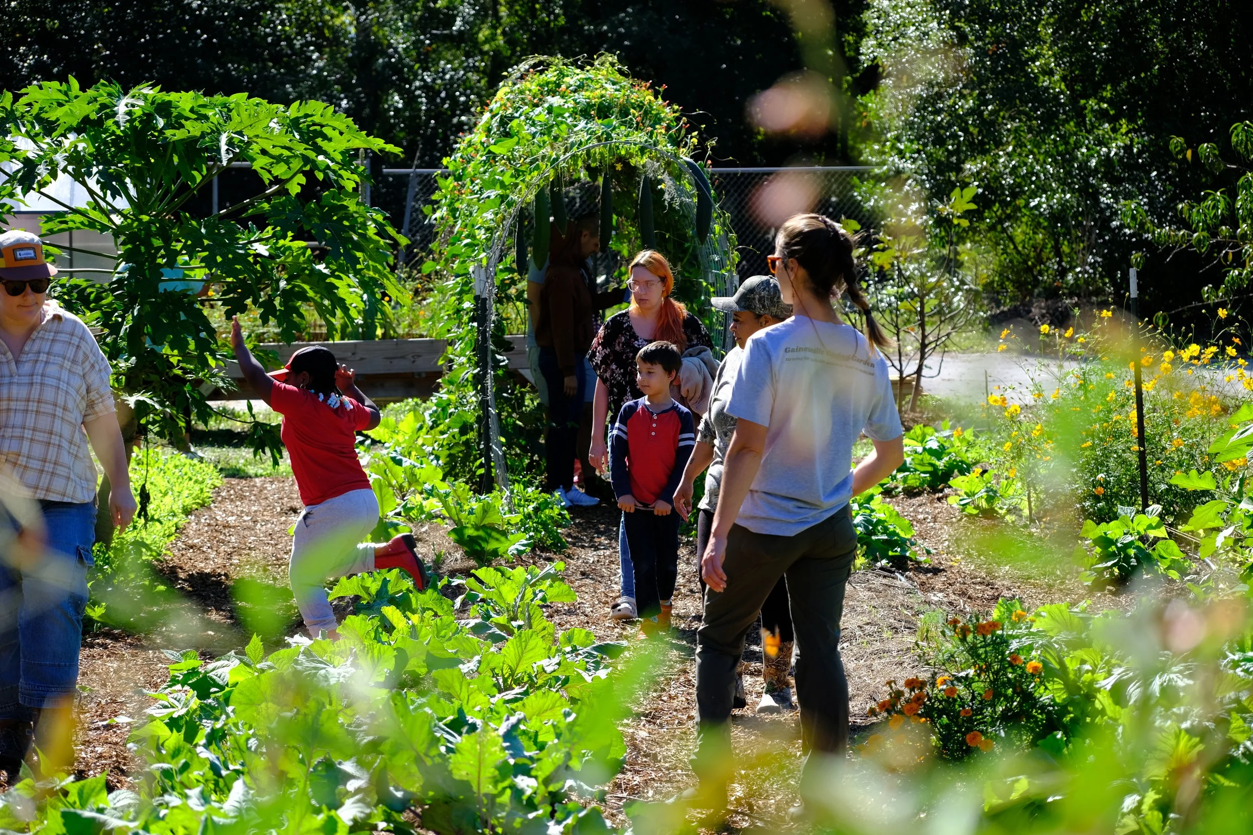 Resources — Gainesville Giving Garden
