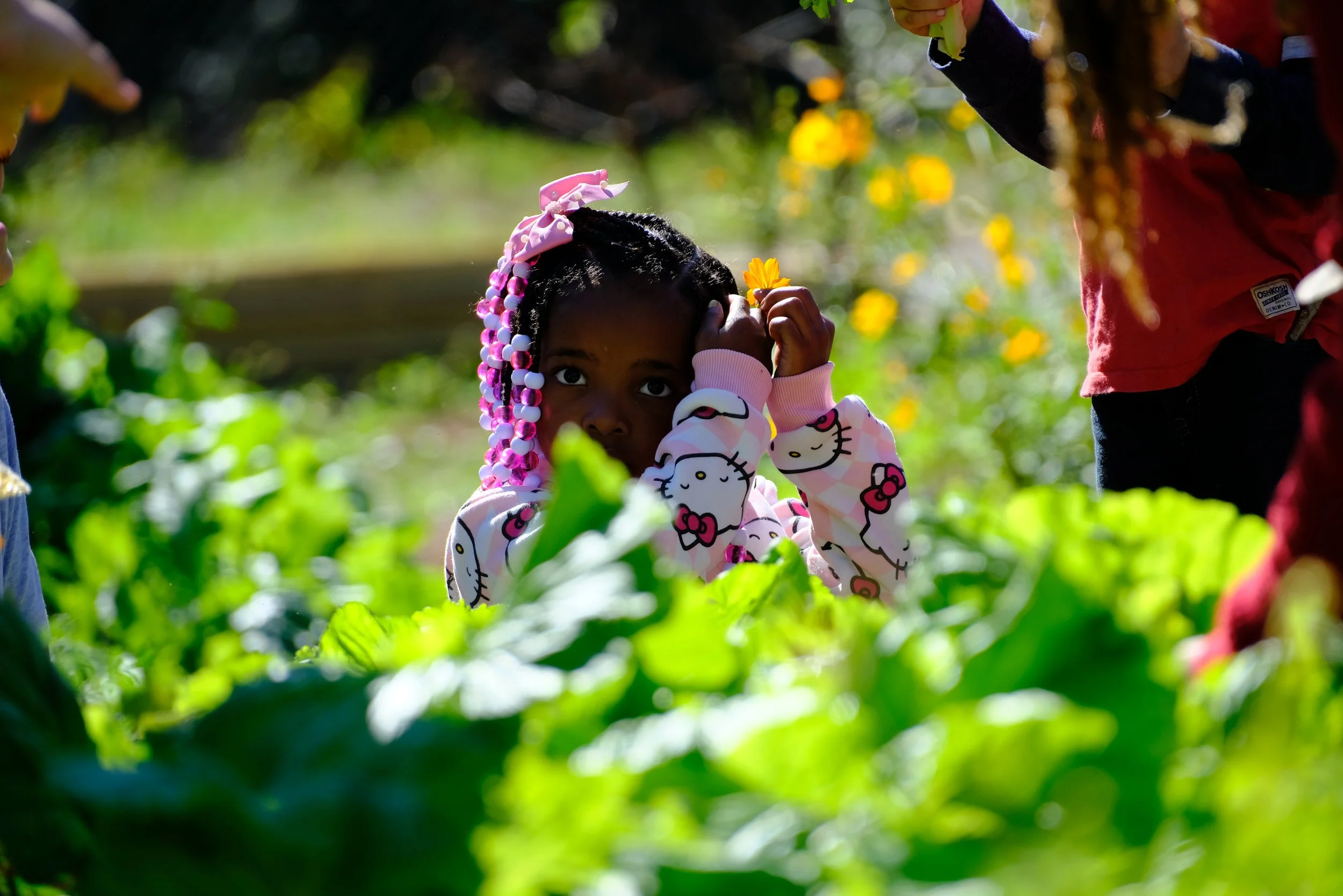 Resources — Gainesville Giving Garden