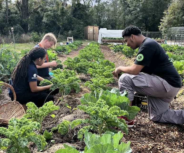 Resources — Gainesville Giving Garden