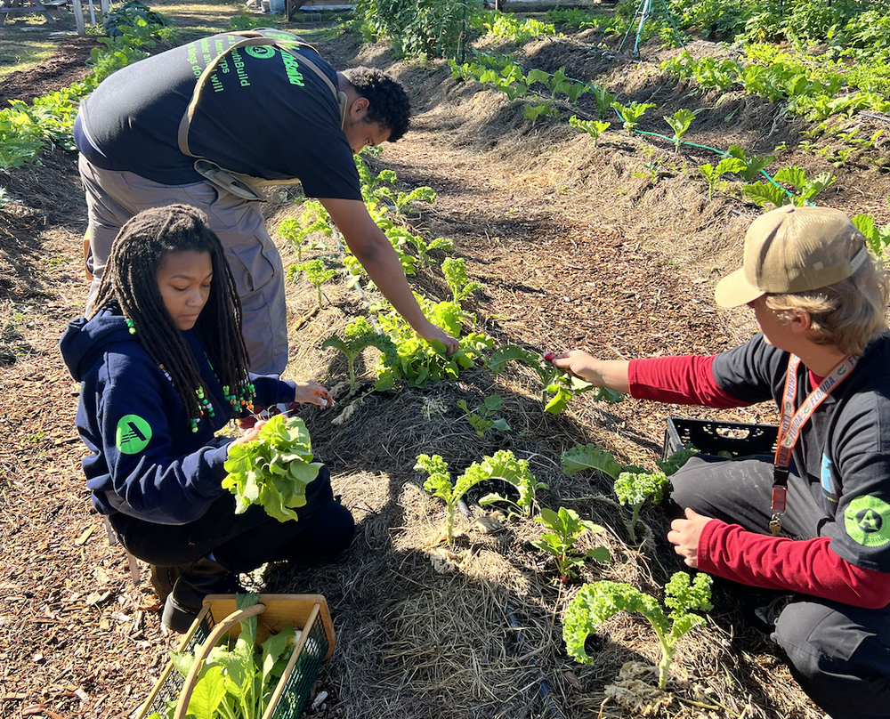 Resources — Gainesville Giving Garden