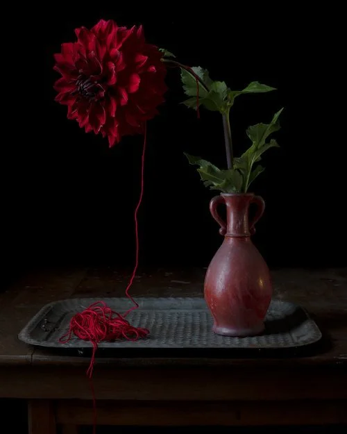 gary marotta fine art g-1 — Provincetown Art Gallery Association