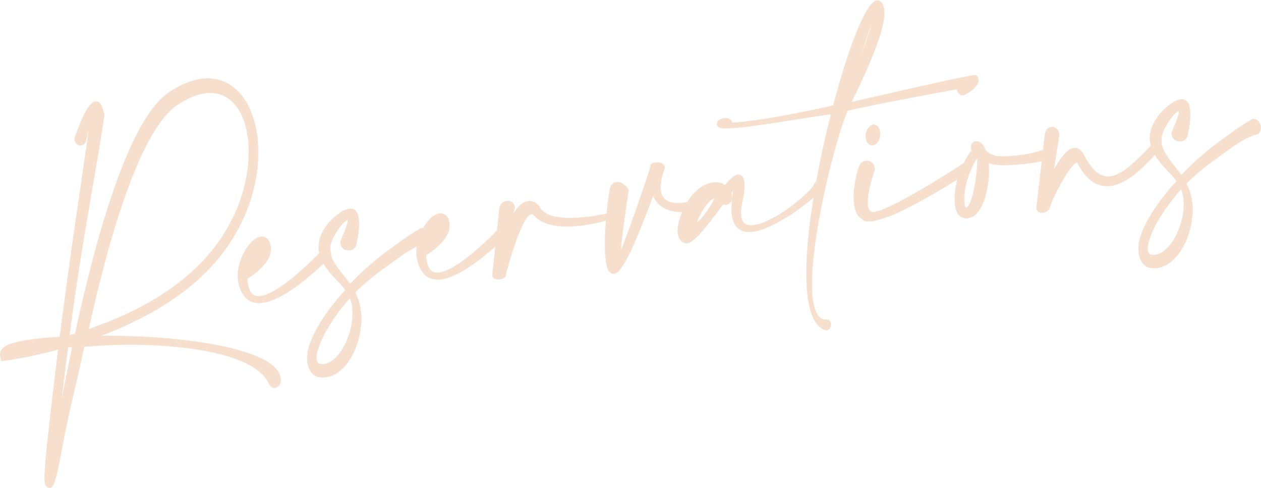 The Monday Room | Restaurant Christchurch