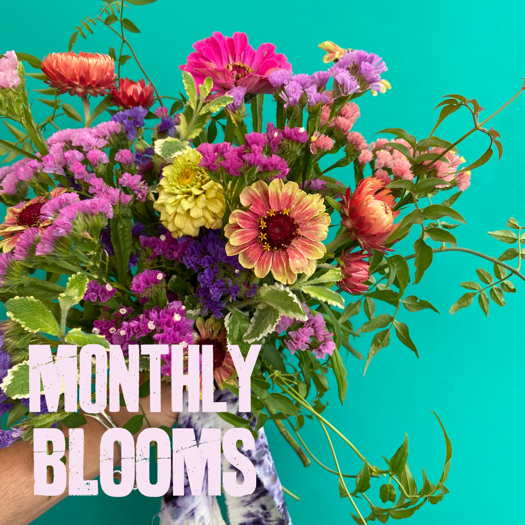 Shop — WE GROW COLOUR