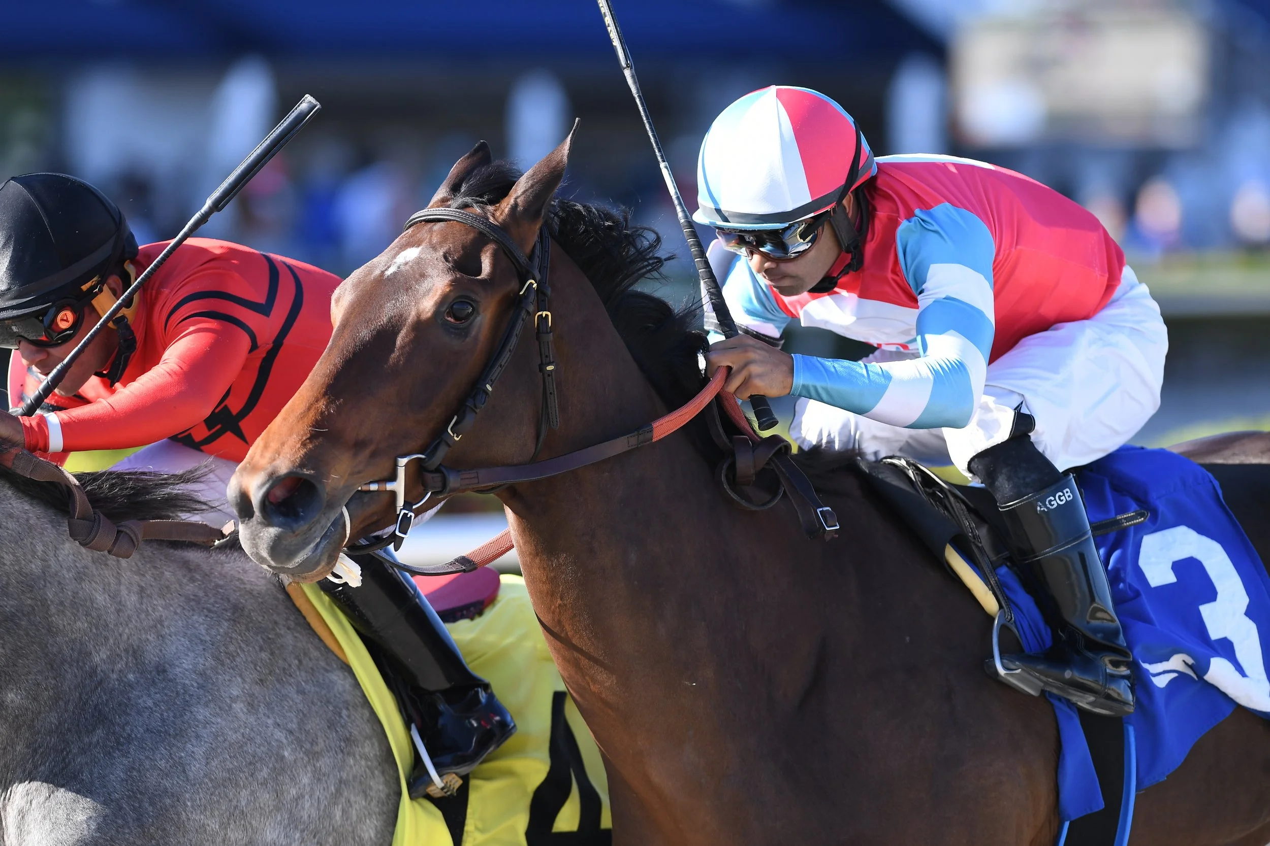 Offerings — Edge Racing