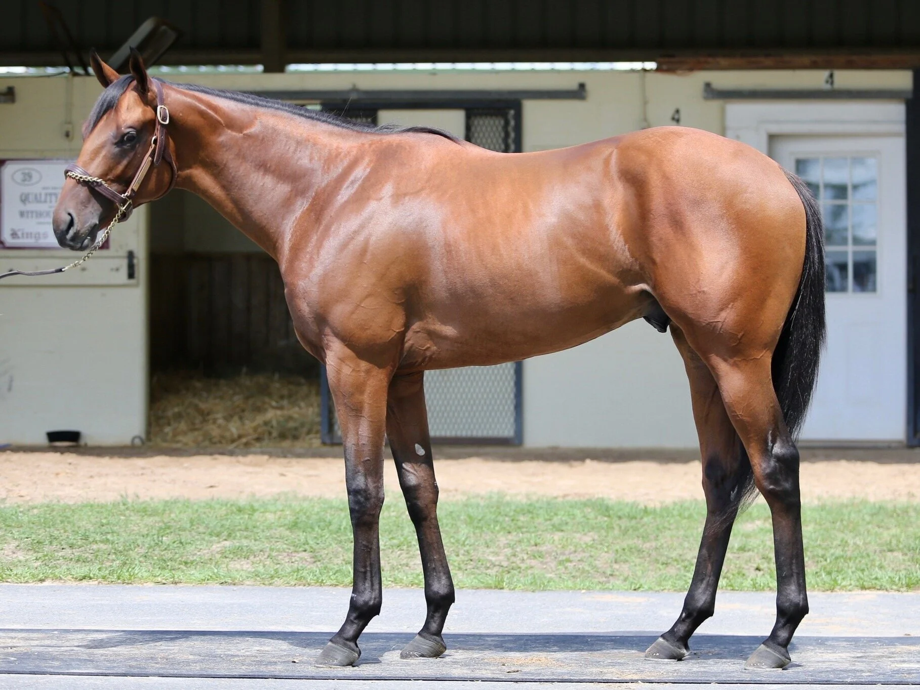 Offerings — Edge Racing