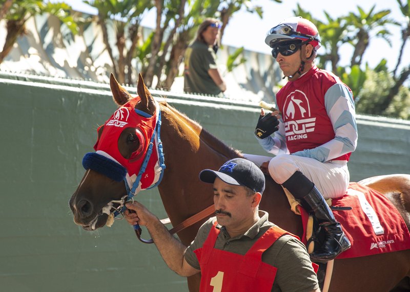 About Us — Edge Racing