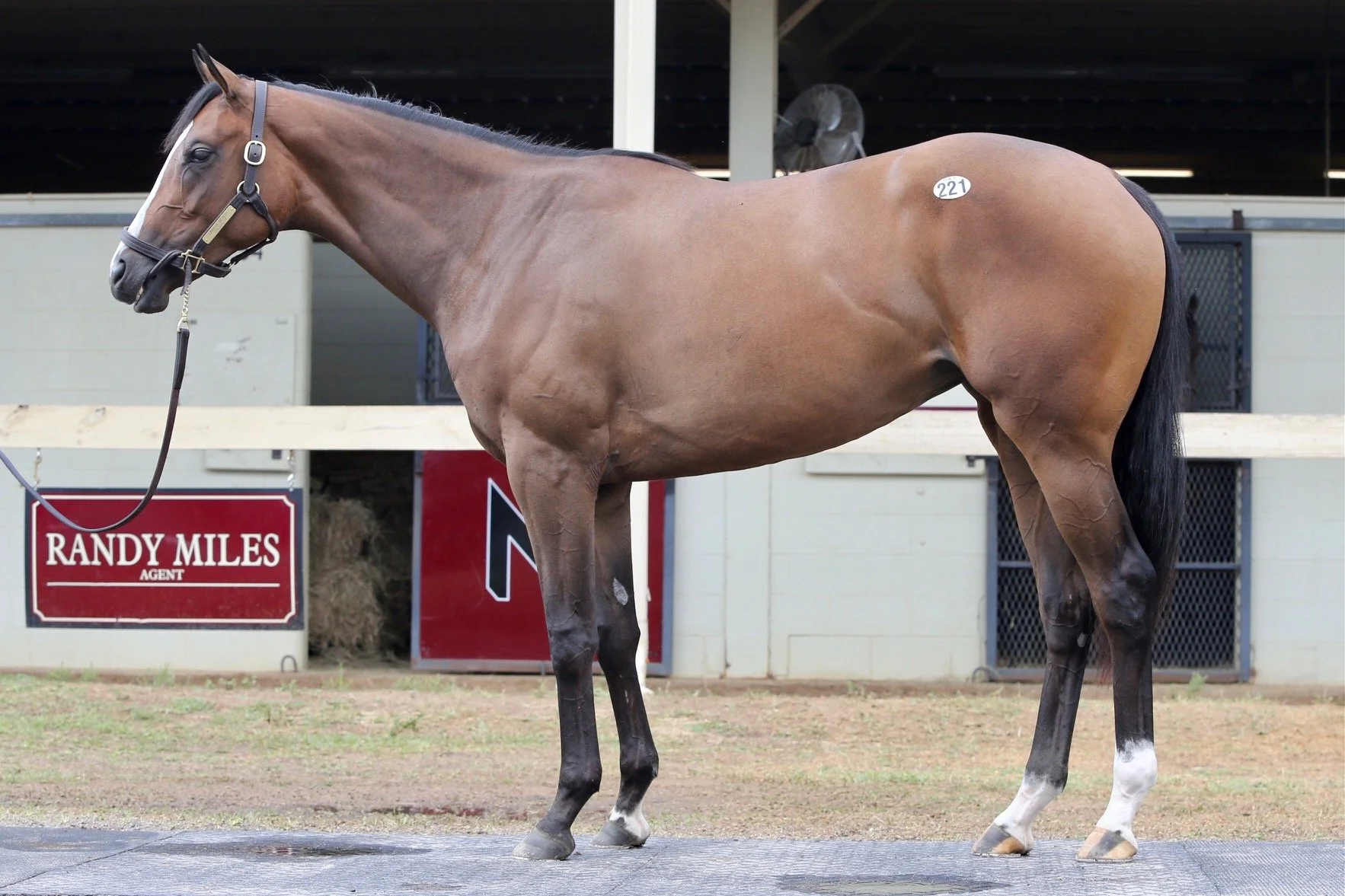 Offerings — Edge Racing