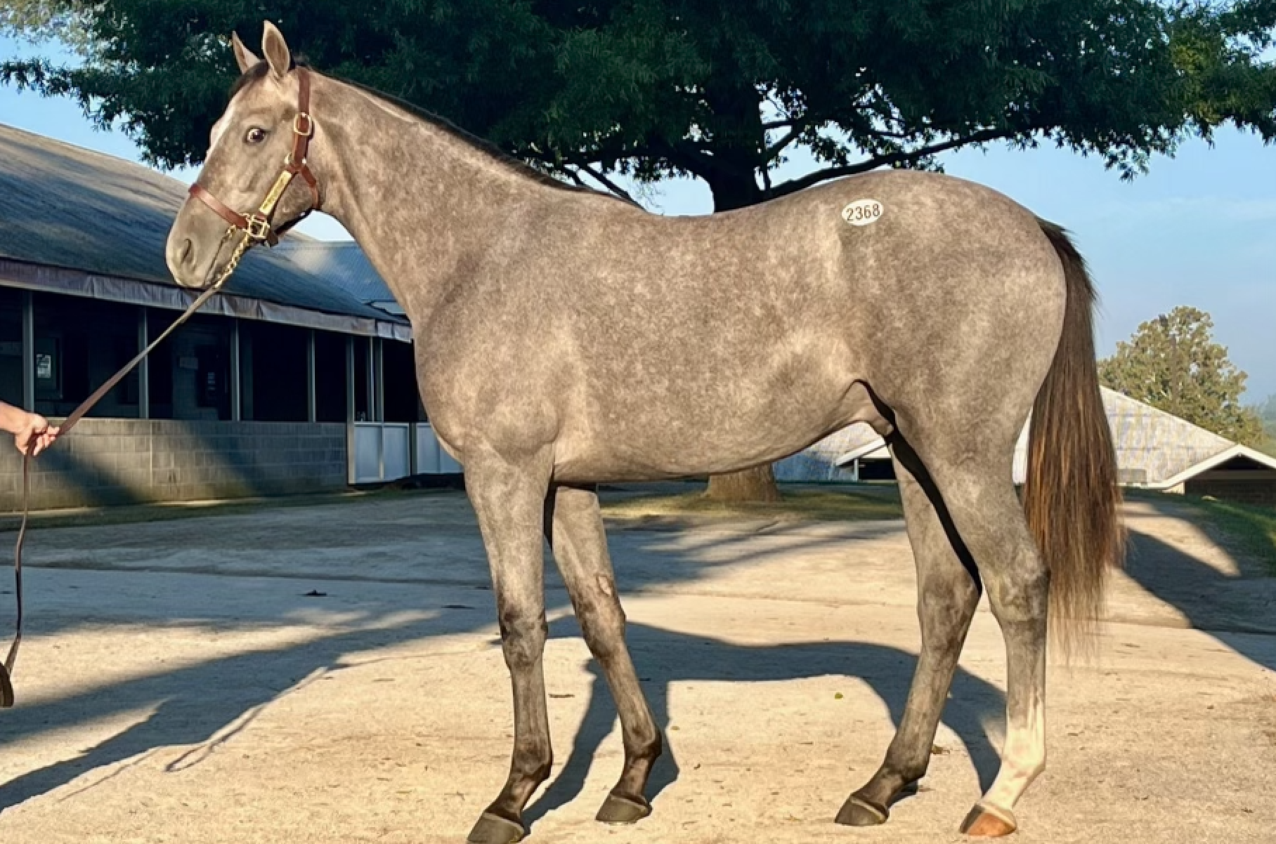 Offerings — Edge Racing