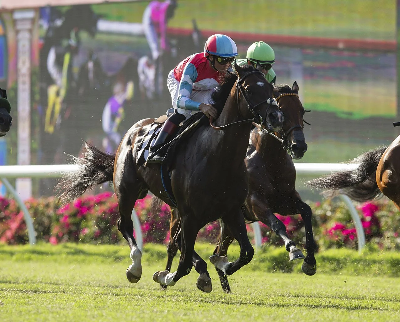 Offerings — Edge Racing