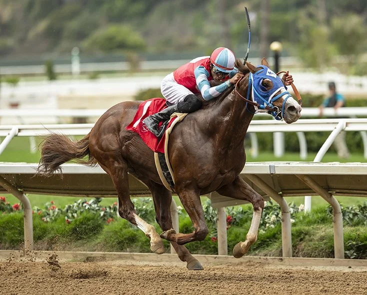 Winner's Circle — Edge Racing