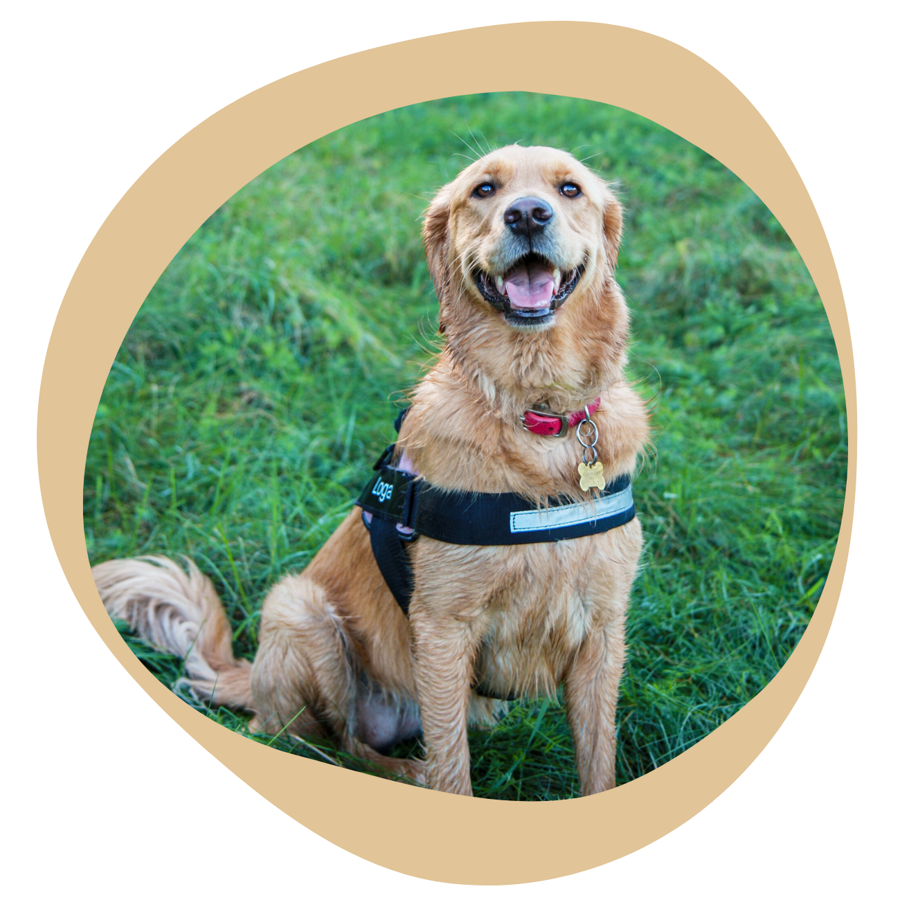 About — Nature Pups