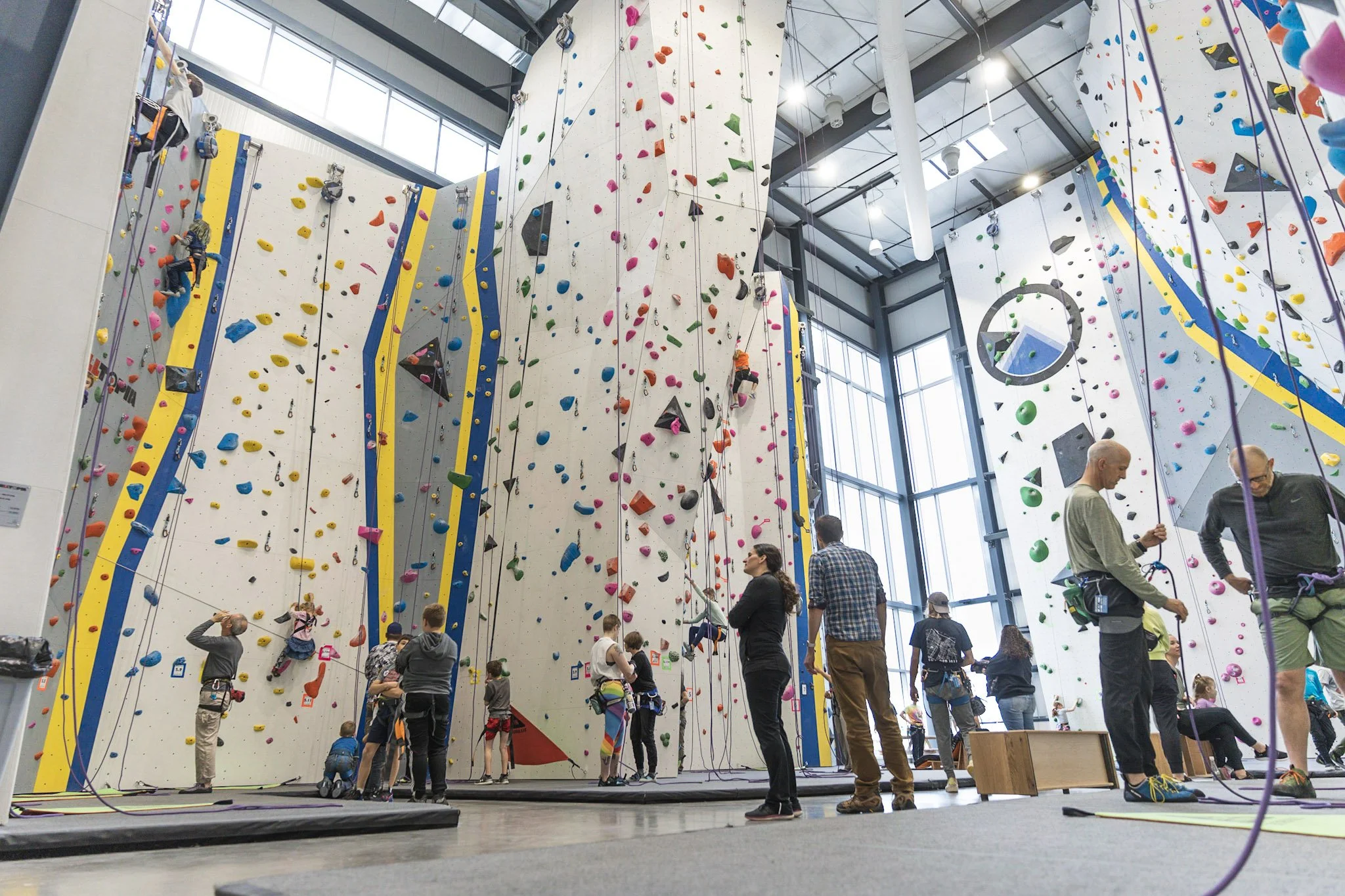 Day Pass — Odyssey Climbing + Fitness