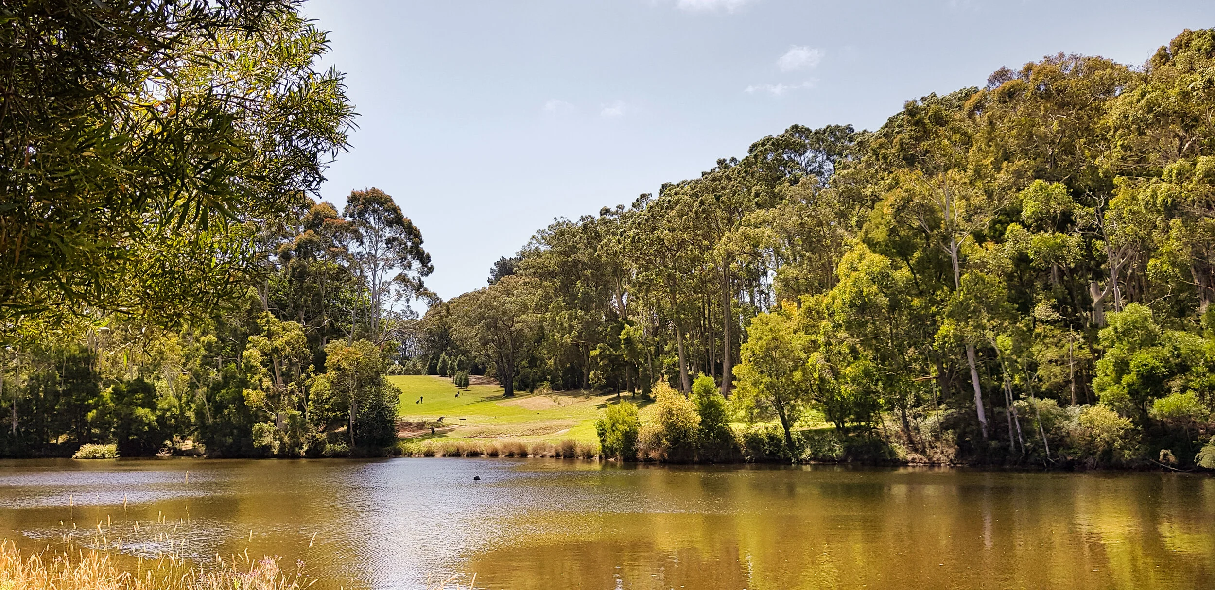 General 3 — Mount Lofty Golf Estate