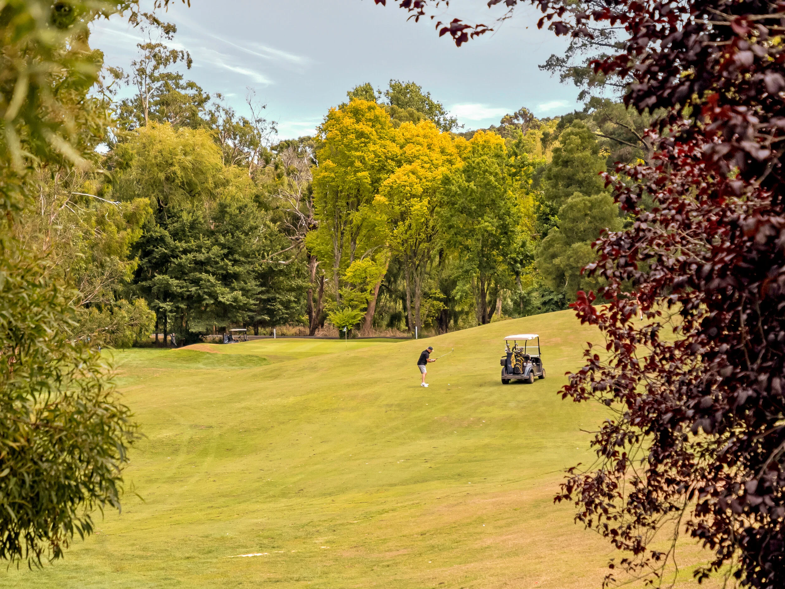 Play — Mount Lofty Golf Estate