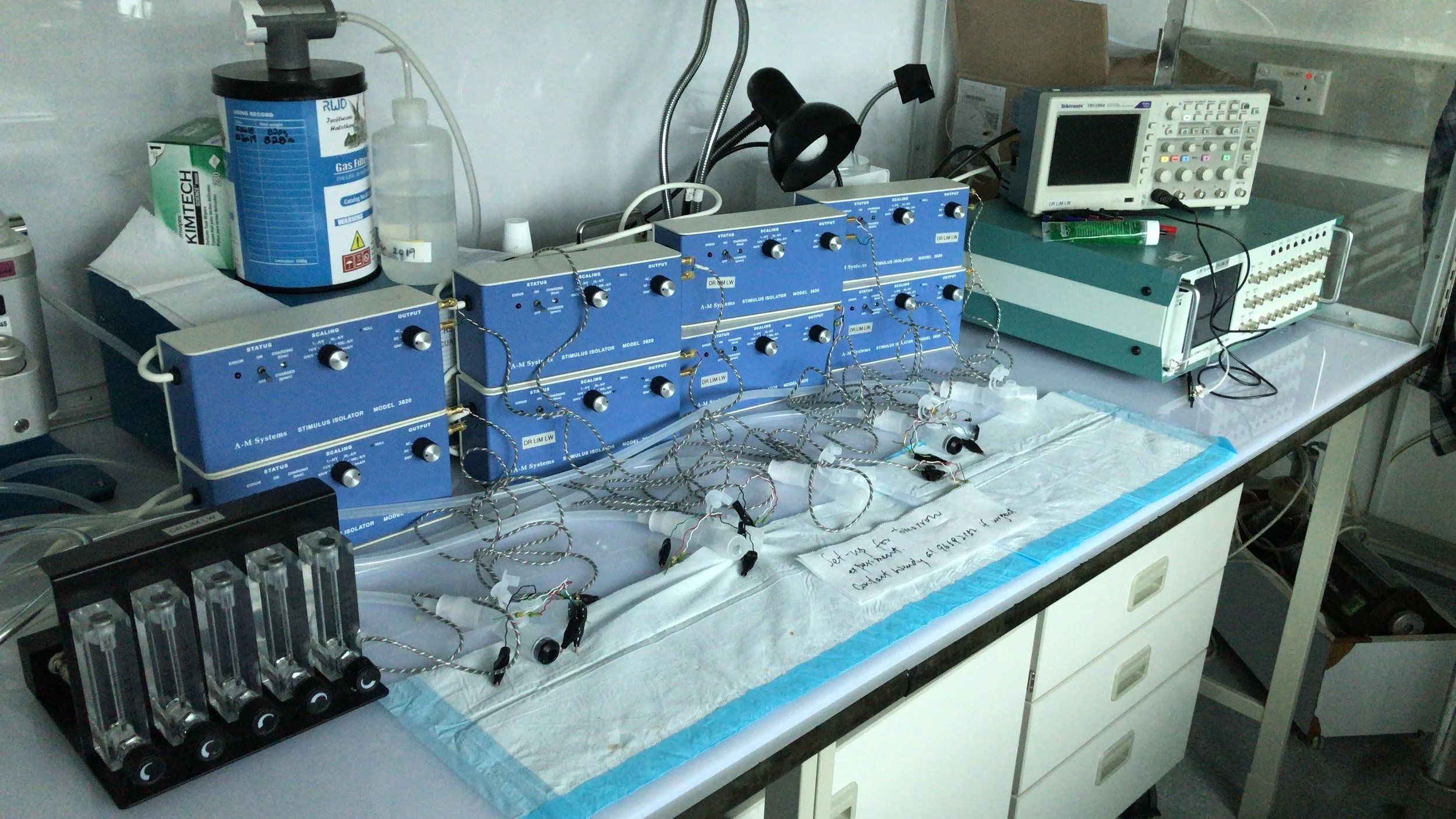 Join Us — DrLim Neuromodulation Lab