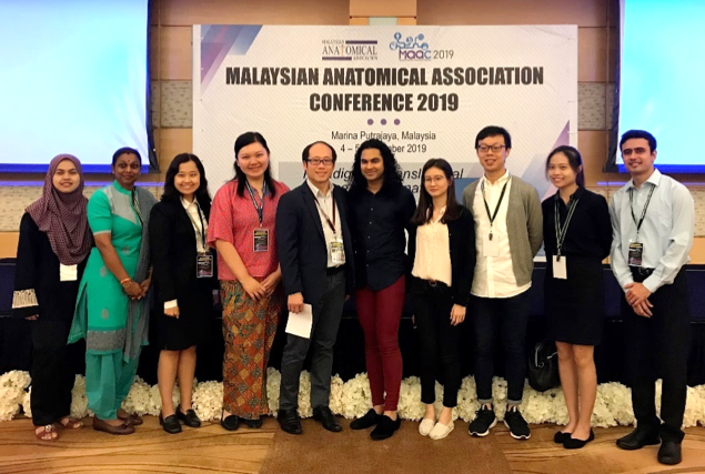 Gallery — DrLim Neuromodulation Lab