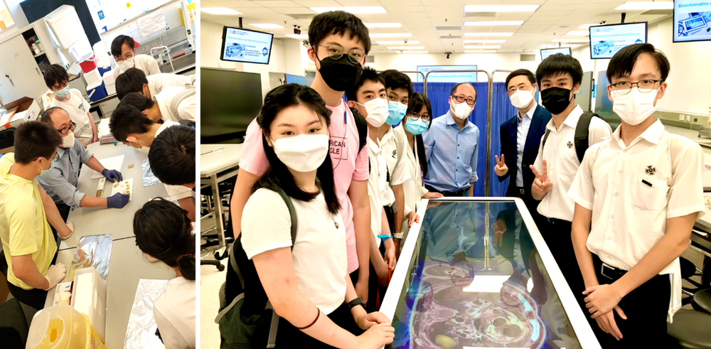 Gallery — Neuromodulation Laboratory