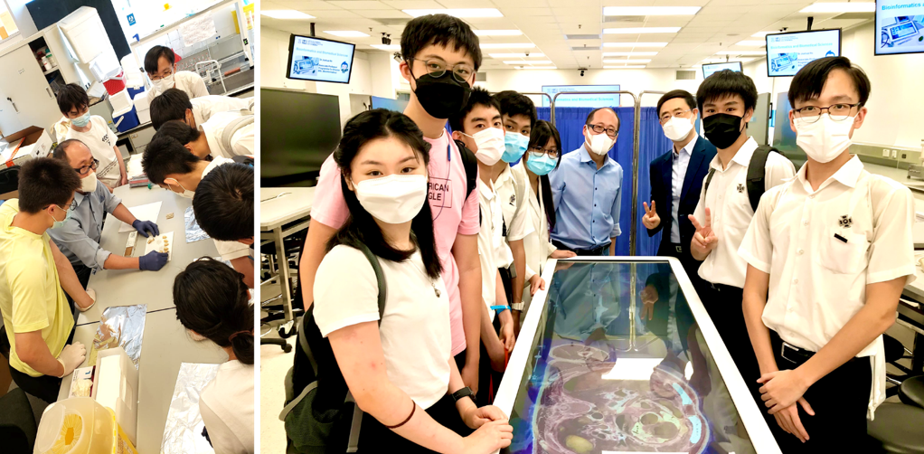 Gallery — DrLim Neuromodulation Lab