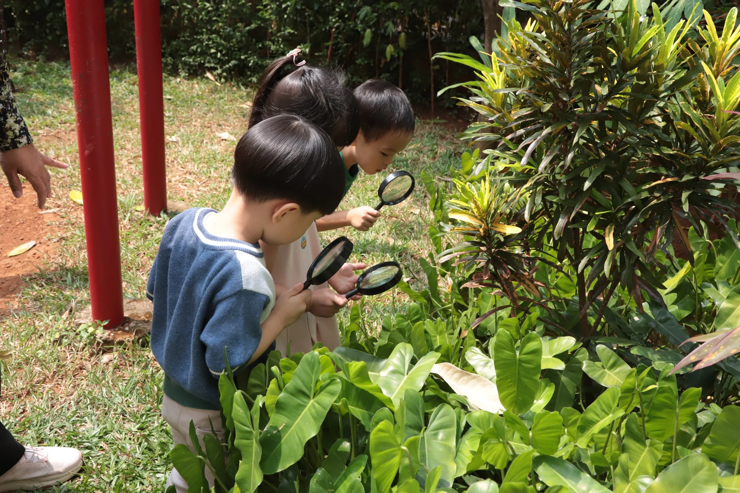 MISGS Preschool — Mentari Intercultural School