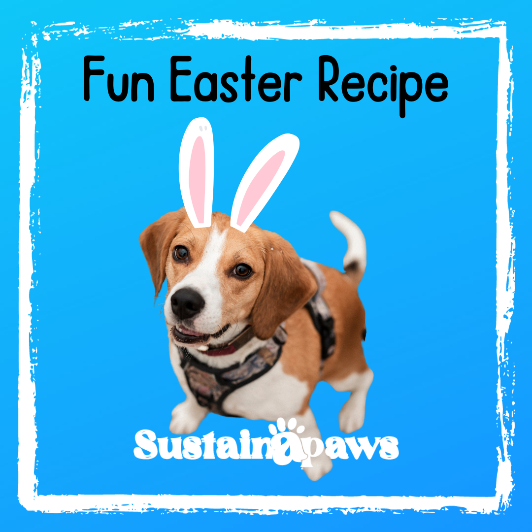 Easter dog treat recipe — Sustainapaws - Eco Friendly Dog Accessories