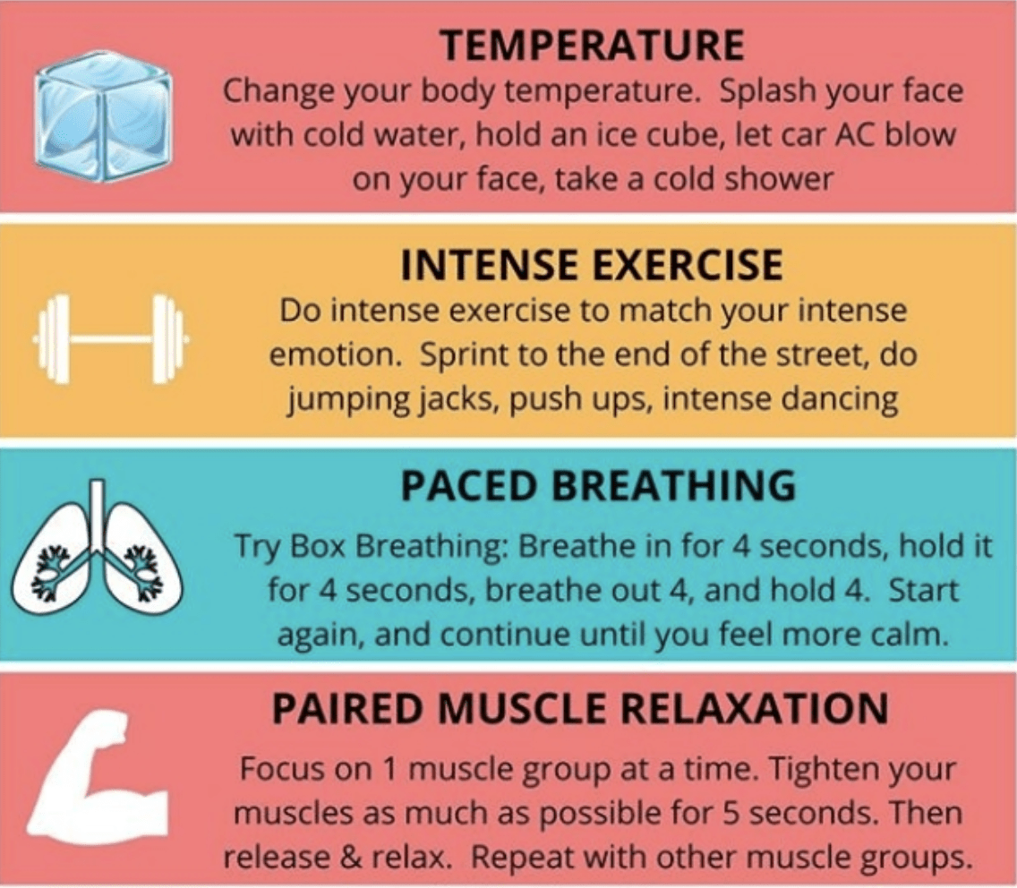 DBT Skills For Anxiety Online DBT Therapy Skills Steps Step Into DBT Skills For Anxiety Online DBT Therapy Skills Steps Step Into