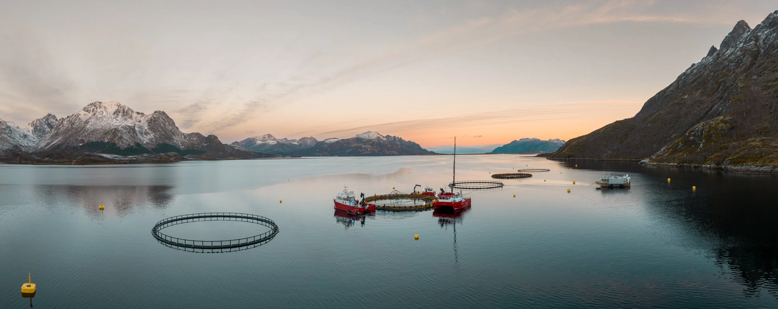 Torskeoppdrett — CodCluster