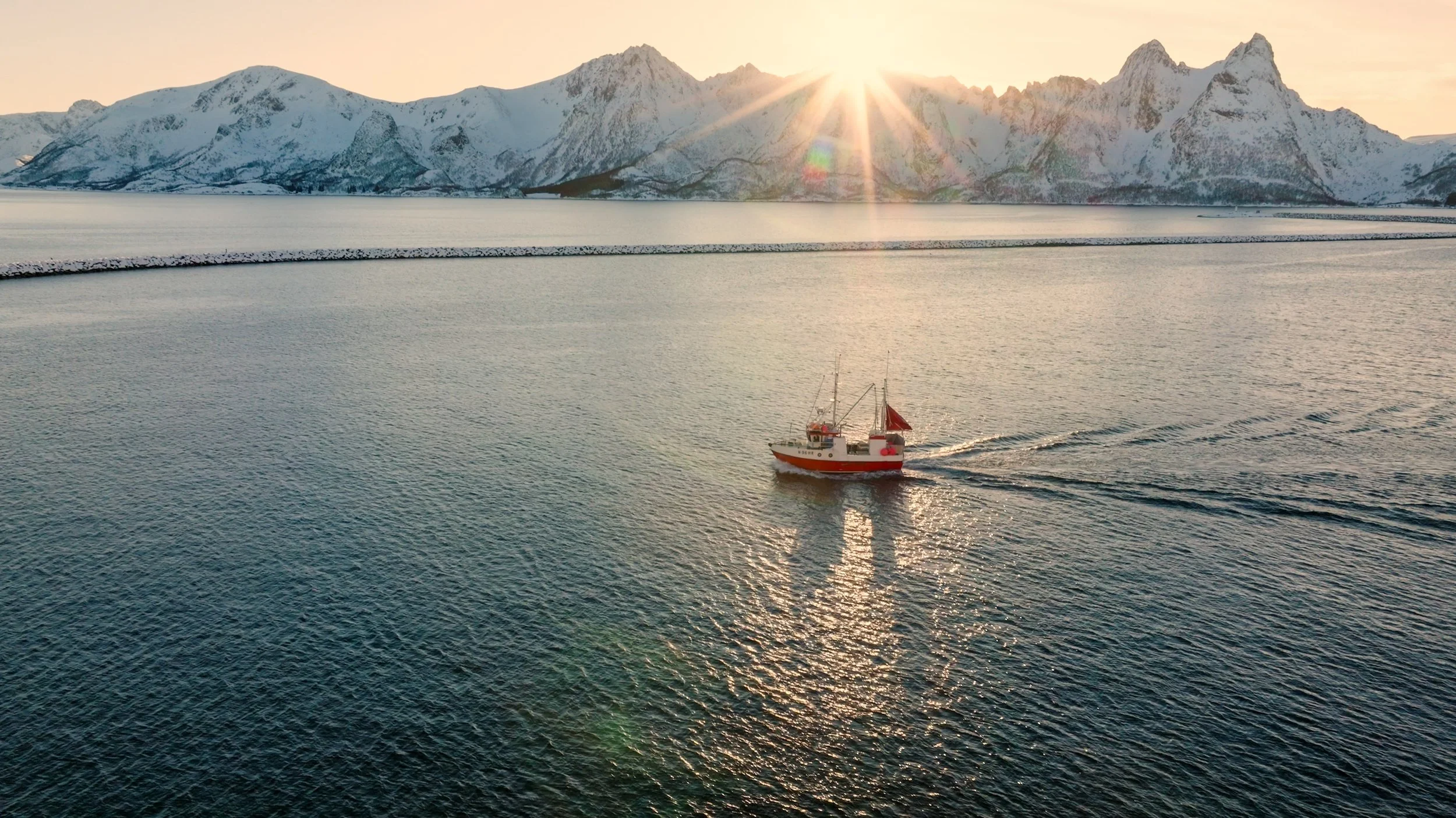 Villfanget — CodCluster