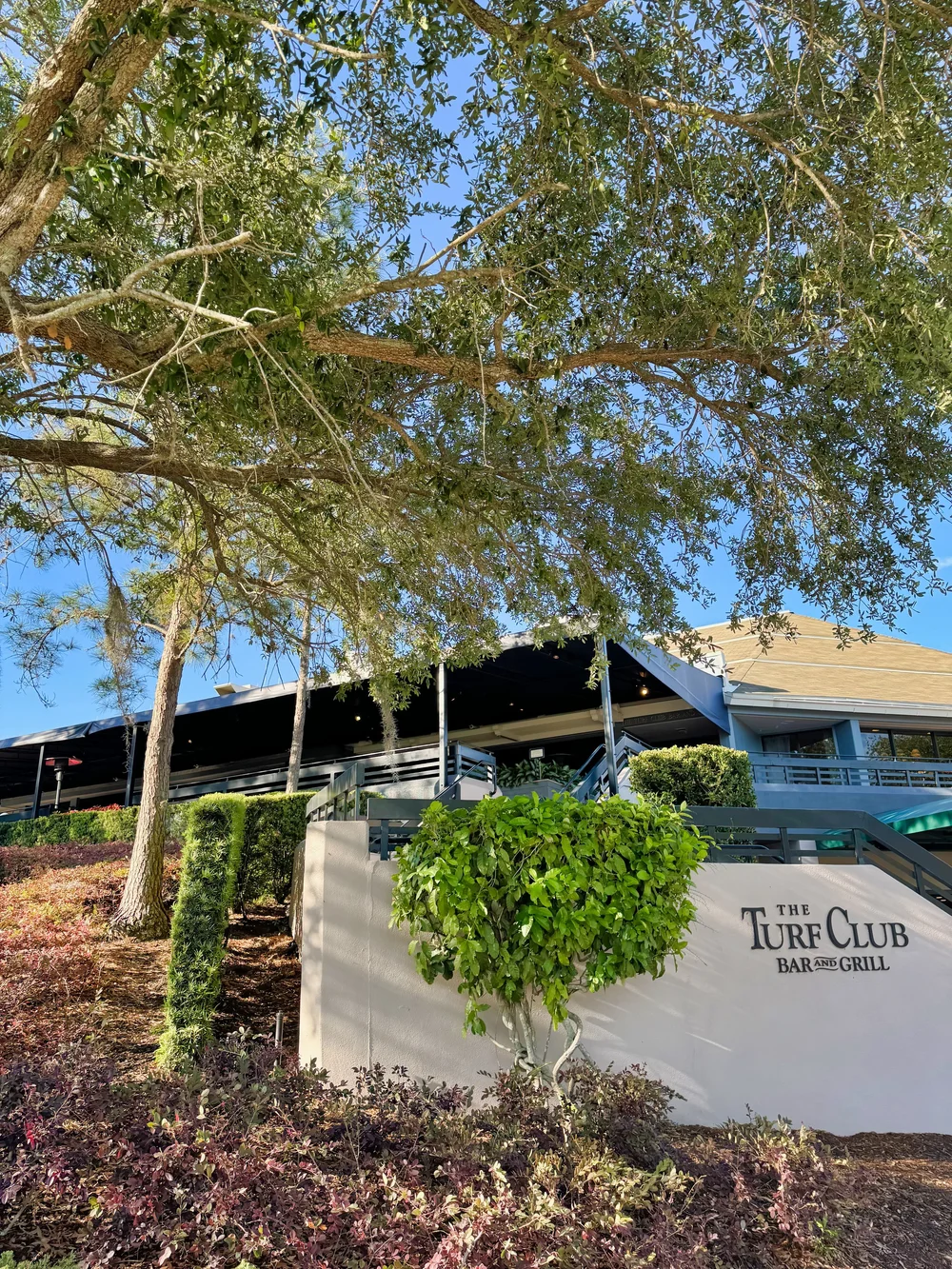 Turf Club Bar & Grill Gluten Free Dinner Review — Gluten Free & Dairy ...