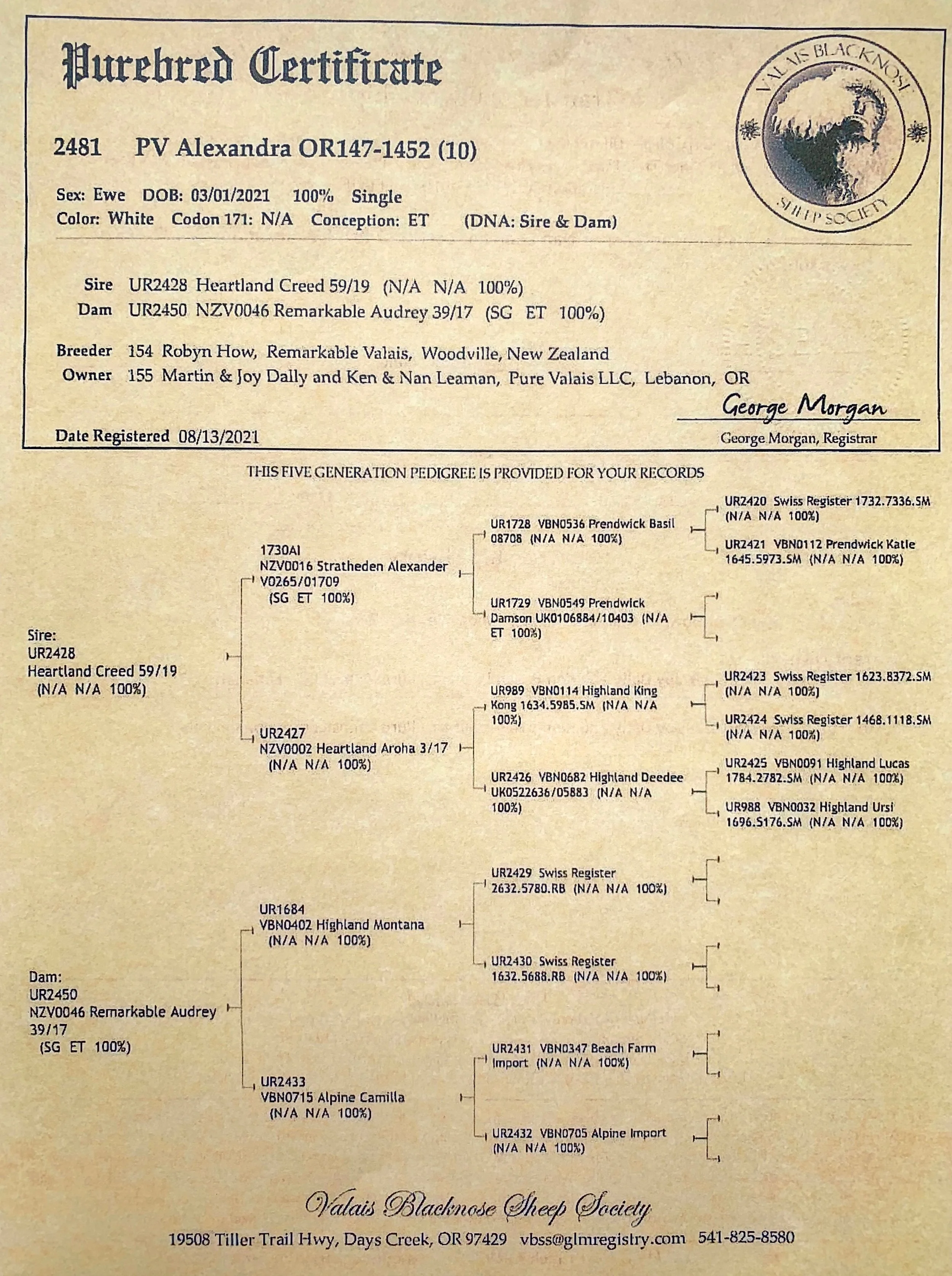 PV Alexandra 1452-010 - Ewe, 2021 — Pure Valais Blacknose Sheep ...