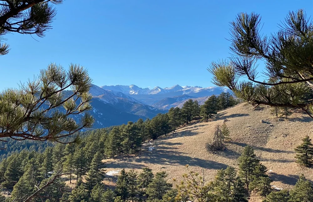 Enos Mills: His Legacy for Environmental Education — Dave Sutherland ...