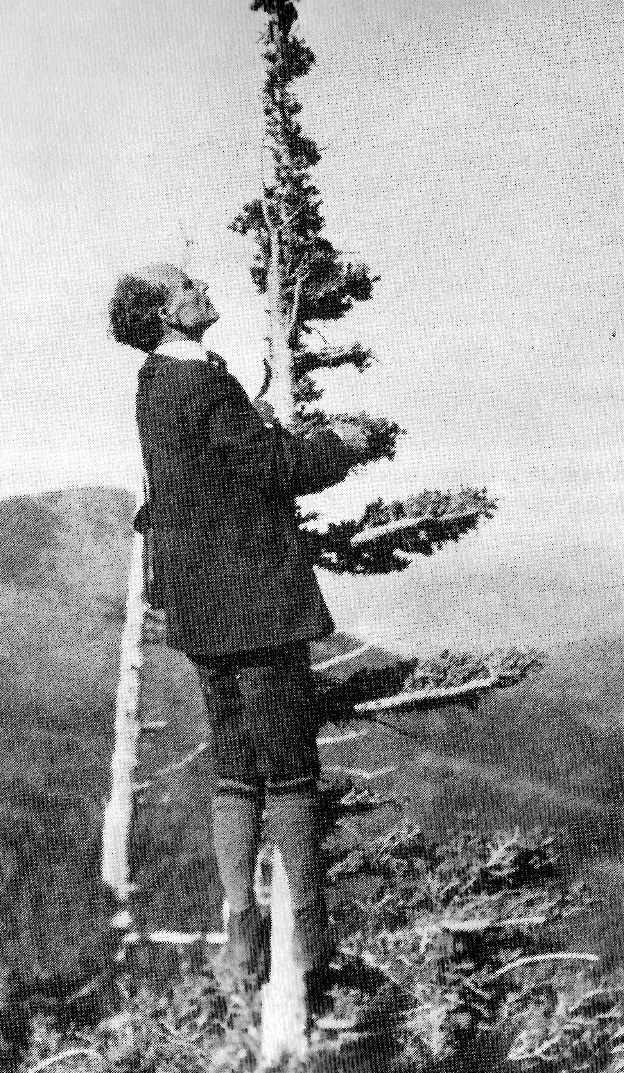 Enos Mills: His Legacy for Environmental Education — Dave Sutherland ...