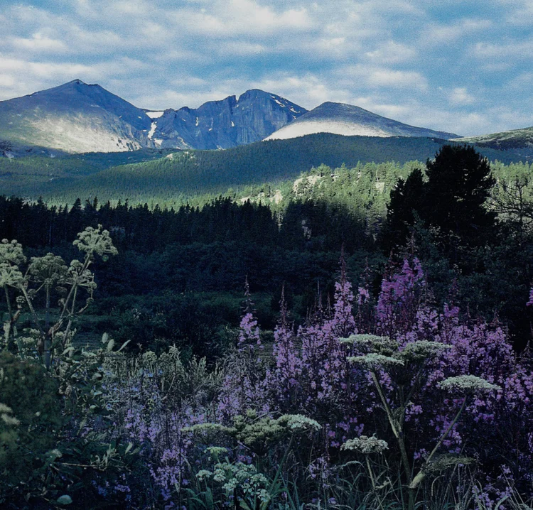 Enos Mills: His Legacy for Environmental Education — Dave Sutherland ...