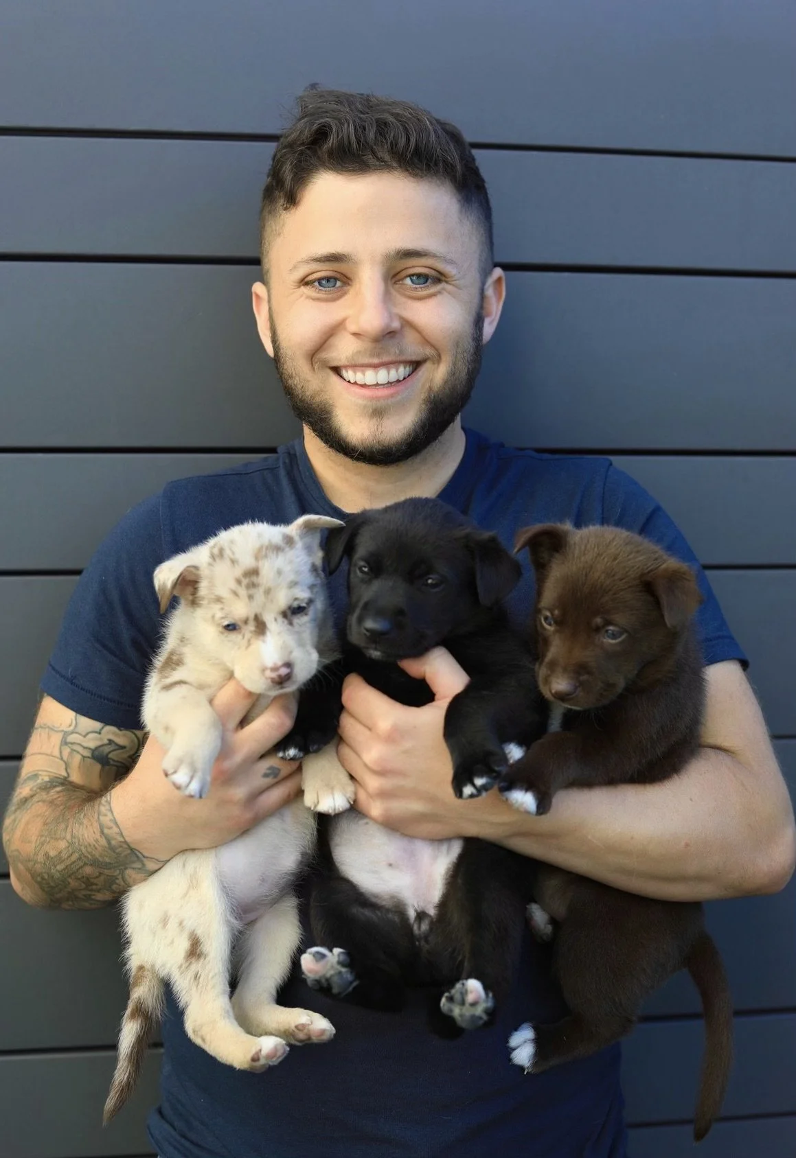 About — K9 University | Dog Training