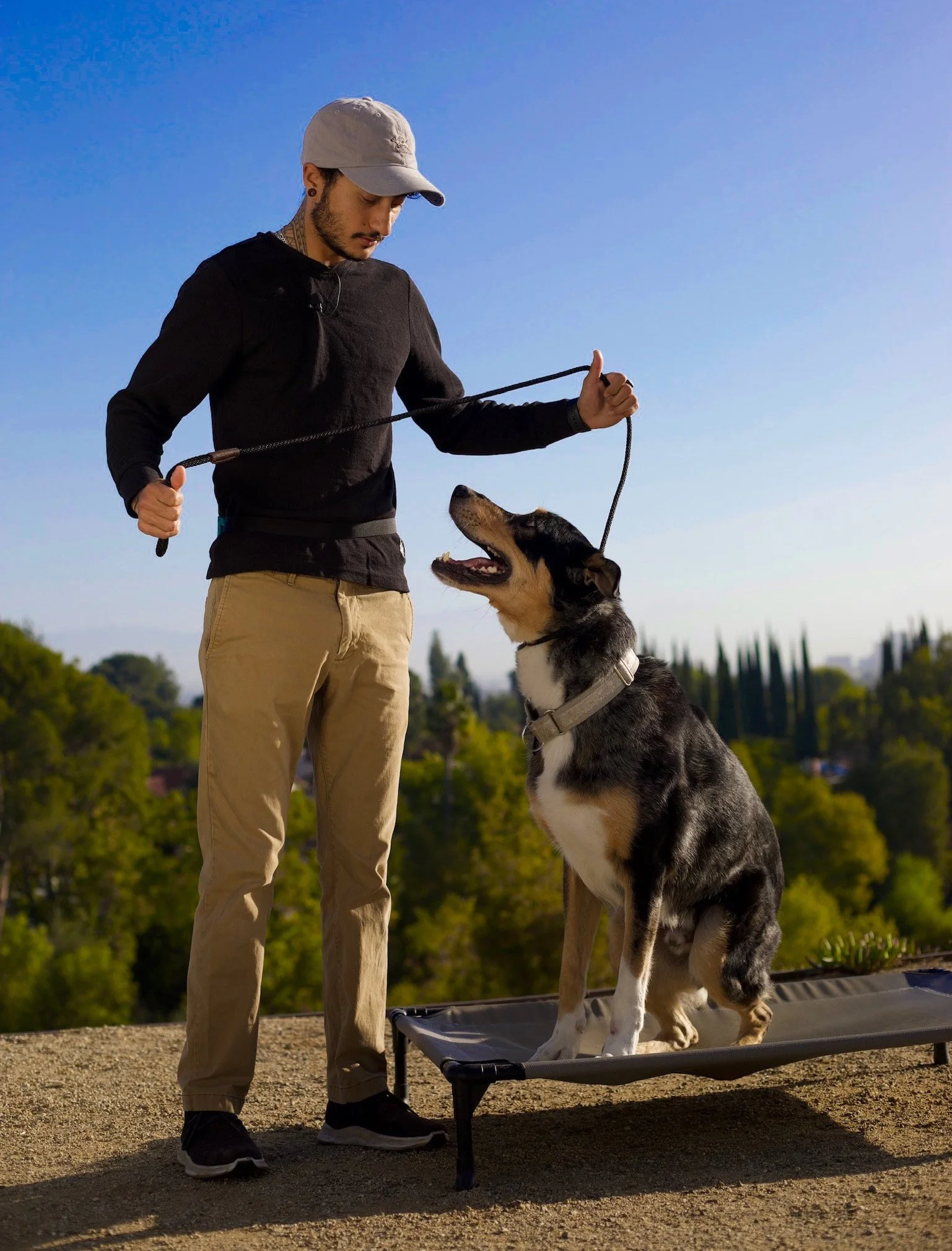 K9 University | Dog Training