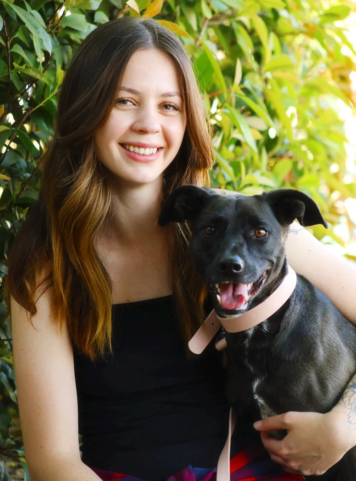About — K9 University | Dog Training