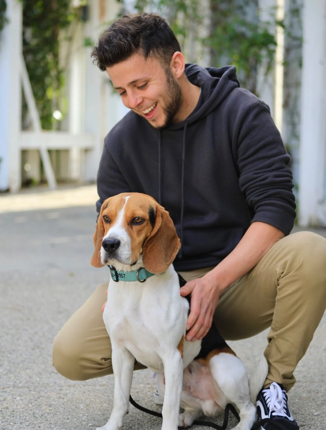 K9 University | Dog Training