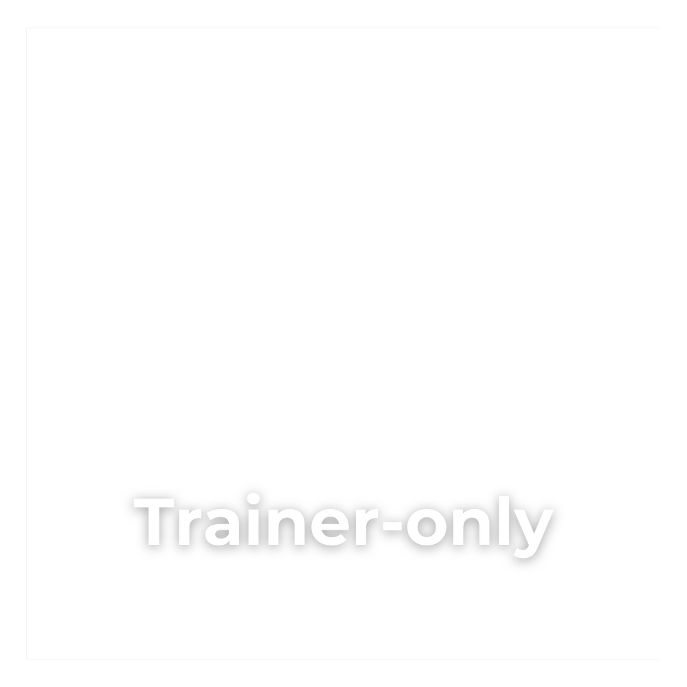 K9 University | Dog Training