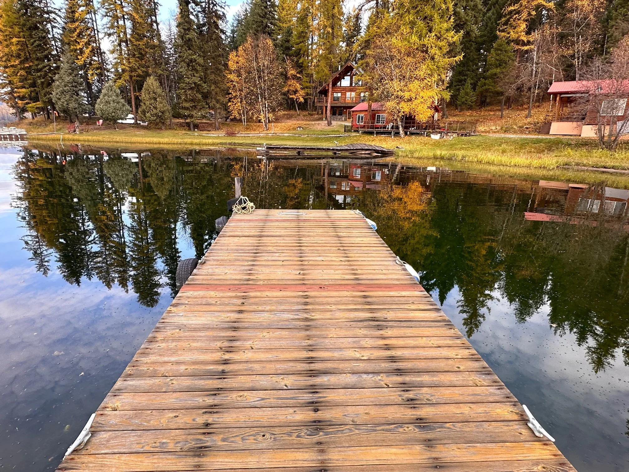 upcoming — Freestone