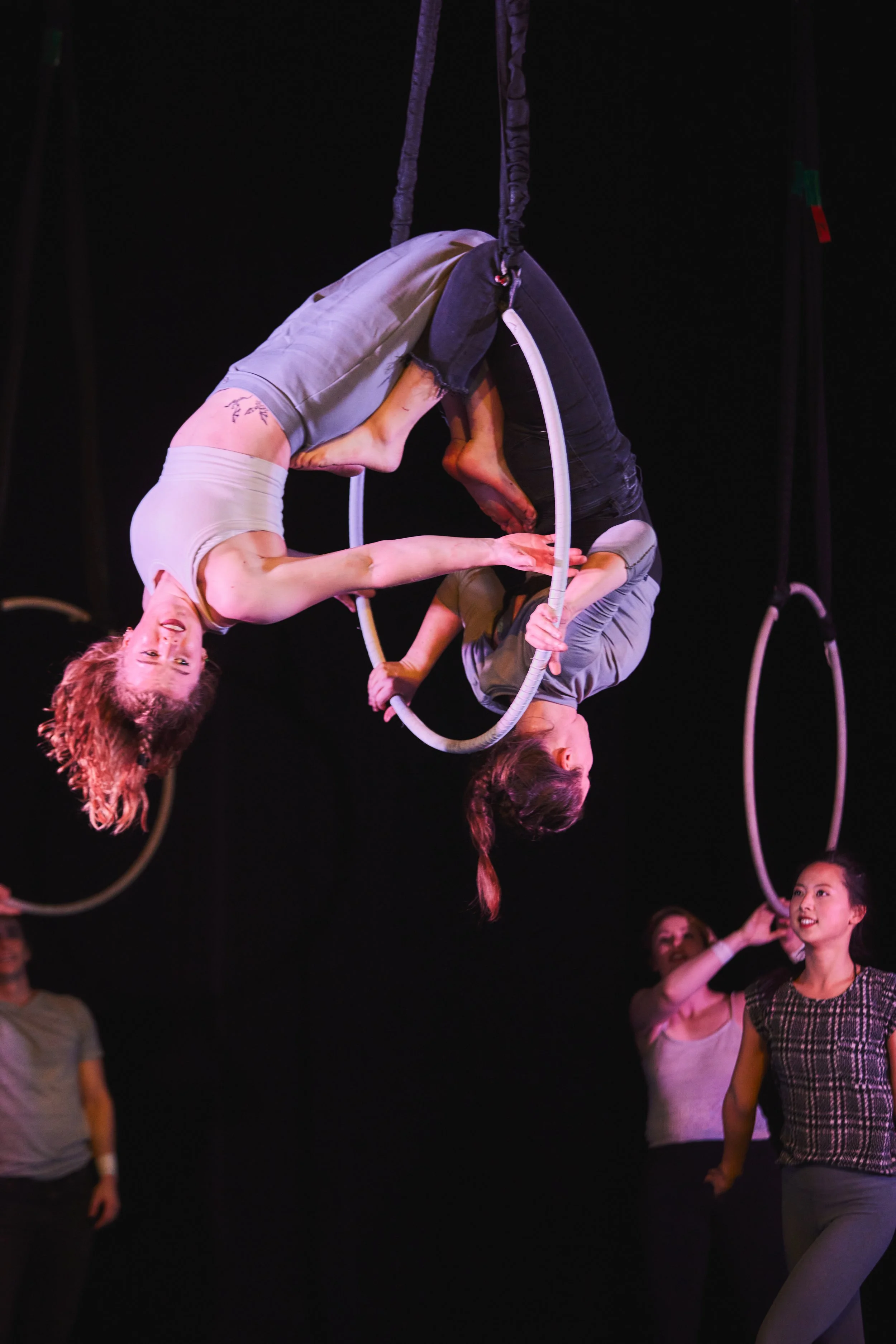 Adult Circus & Aerial Classes — The Actors Gymnasium