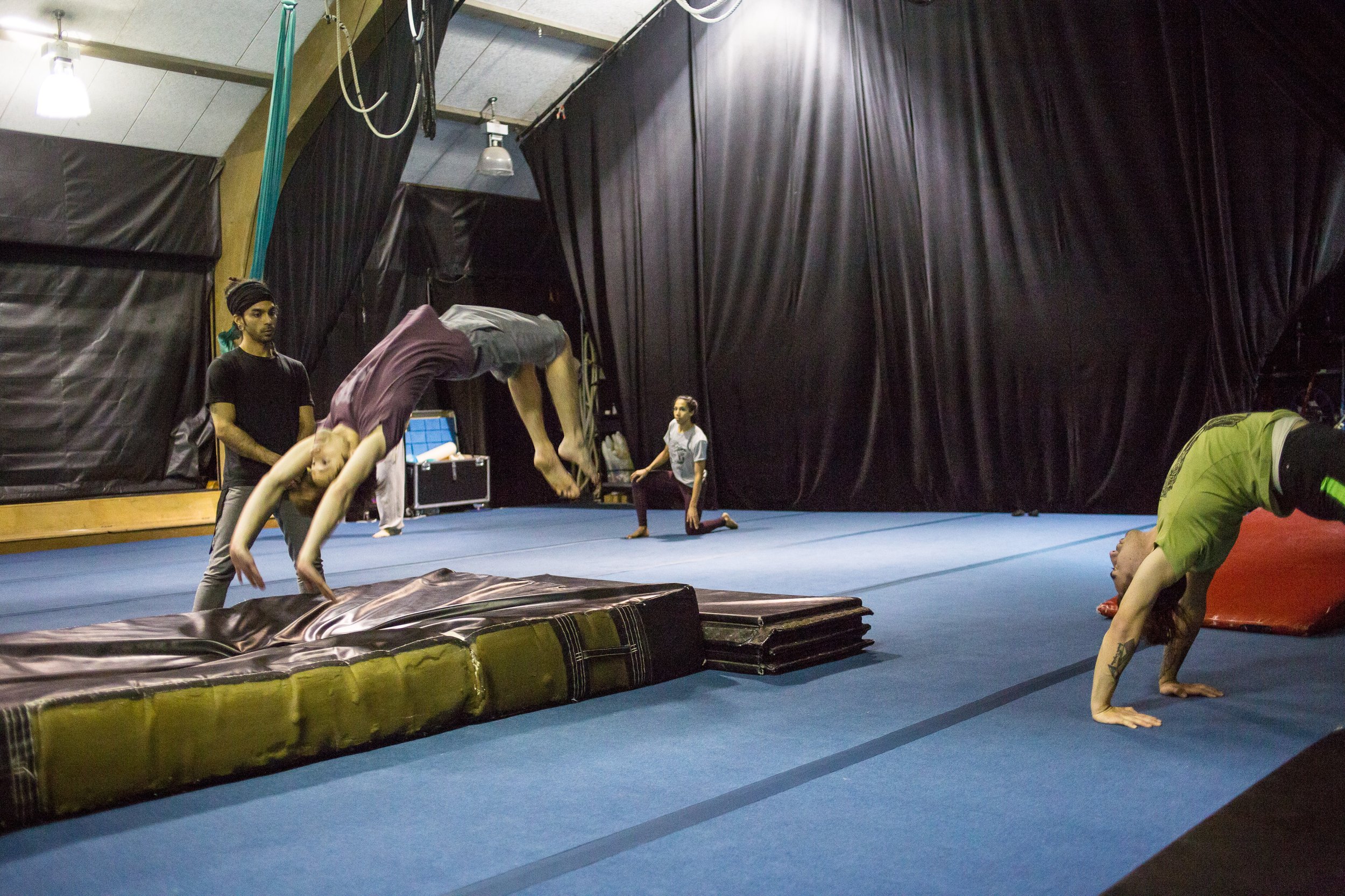 Adult Circus & Aerial Classes — The Actors Gymnasium