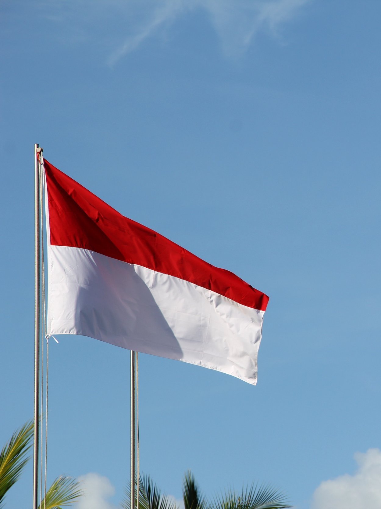 Committees — BruinMUN