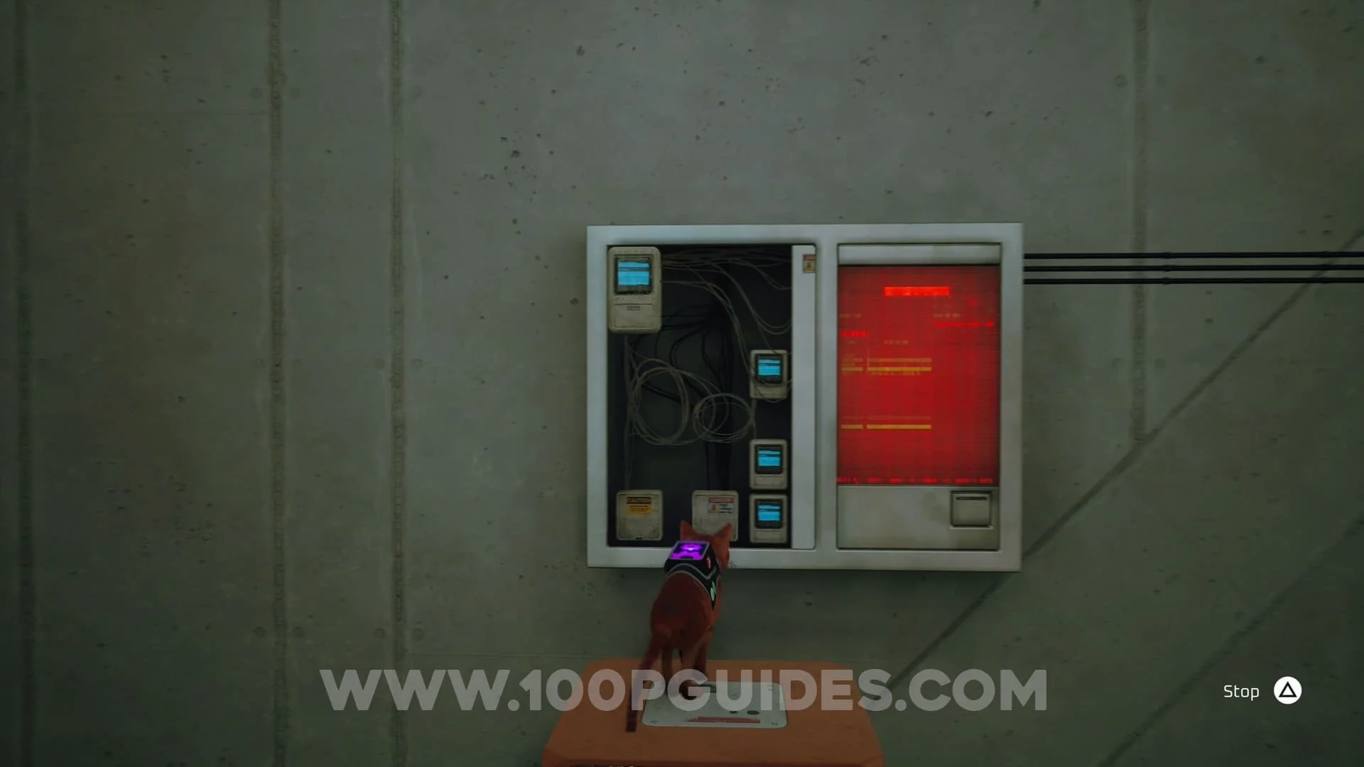 Stray All Chapter 12 Collectible Locations — 100% Guides